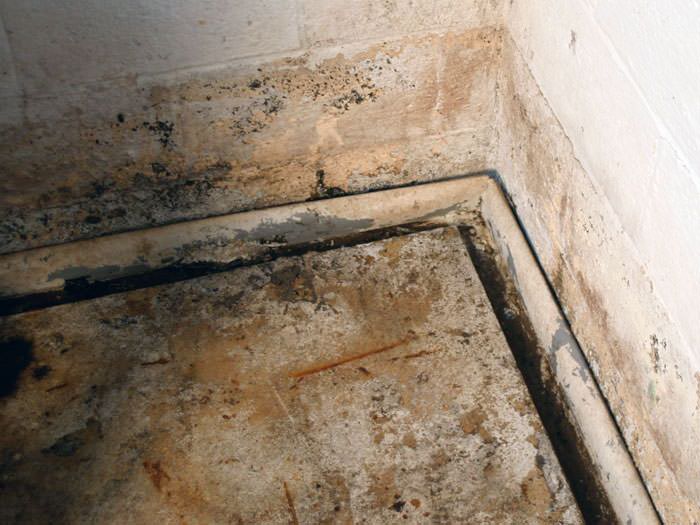 Installing An Effective Weeping Tile System In Greater Ottawa, Nepean ...